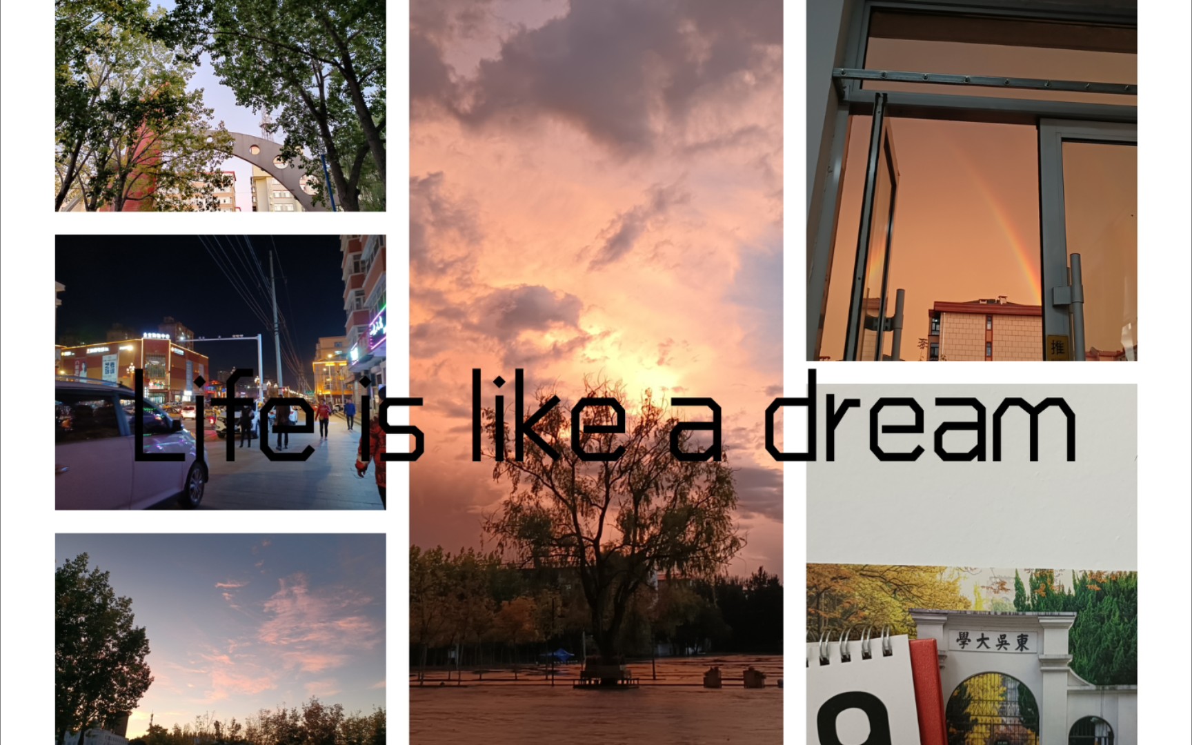 这三天因为突如其来的疫情,一切被打破了…