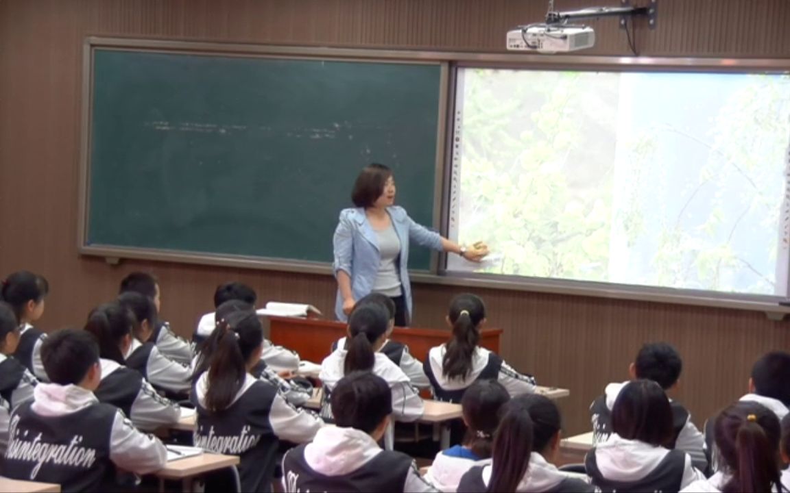 我的叔叔于勒》辽宁-宋老师公开优质课视频【获奖】人教版初三语文...