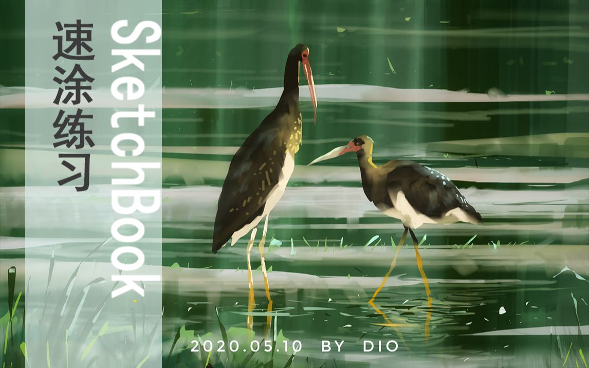 SketchBook绘画|一小时速涂