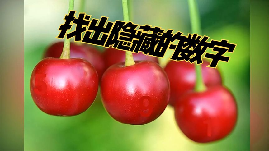 测试脑力:找出隐藏的数字