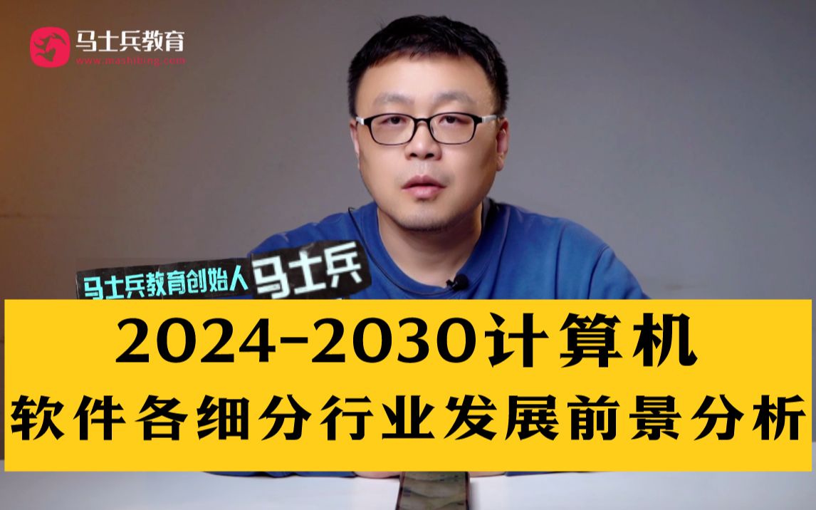 2024-2030计算机软件各细分行业发展前景分析:Java、Golang、Python...