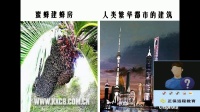 实践的特点(复习课)