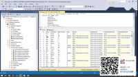 UiPath ReFramework在插入记录时应用业务规则在SQL查询中应用...