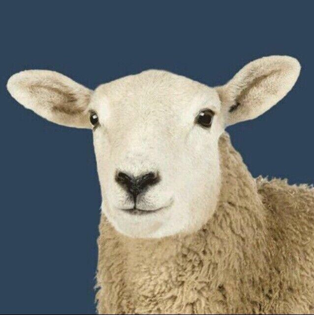 442 