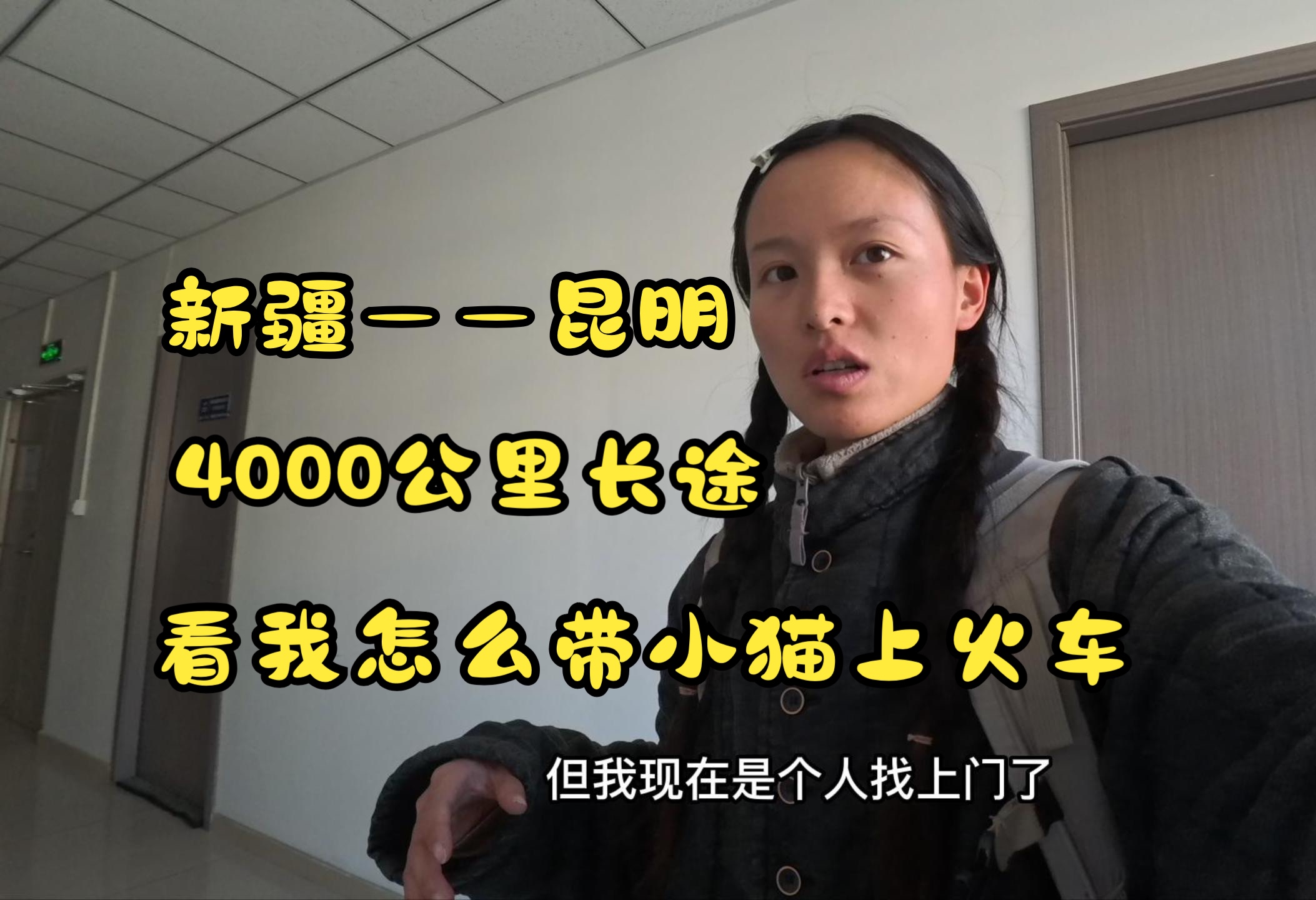 人可以和小猫一起坐火车?宠物托运太麻烦,差点情绪崩溃,记录火车宠物...