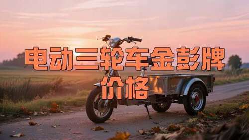 金彭电动三轮车价格大揭秘!不同型号竟然相差这么多?