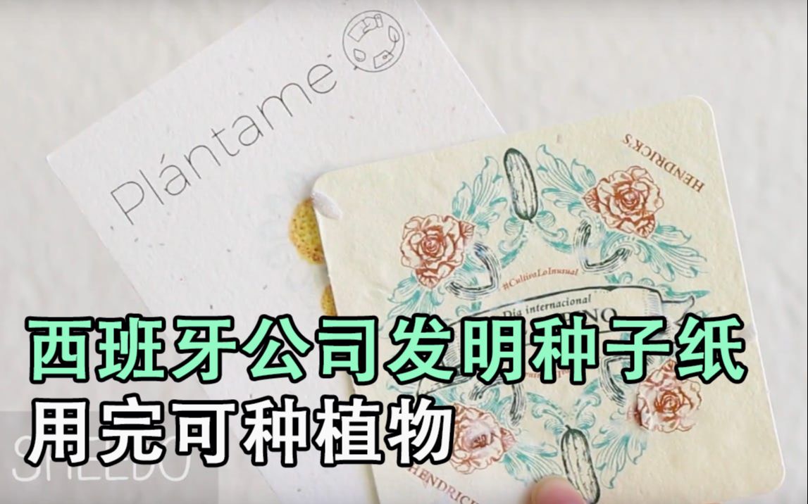 西班牙公司发明种子纸,用完可种植物