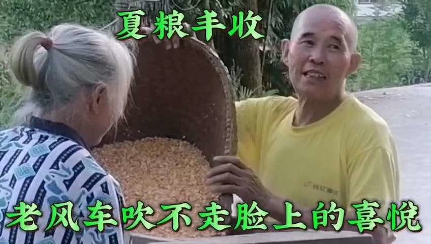 稻谷丰收,老风车吹不走老伴俩脸上的笑容