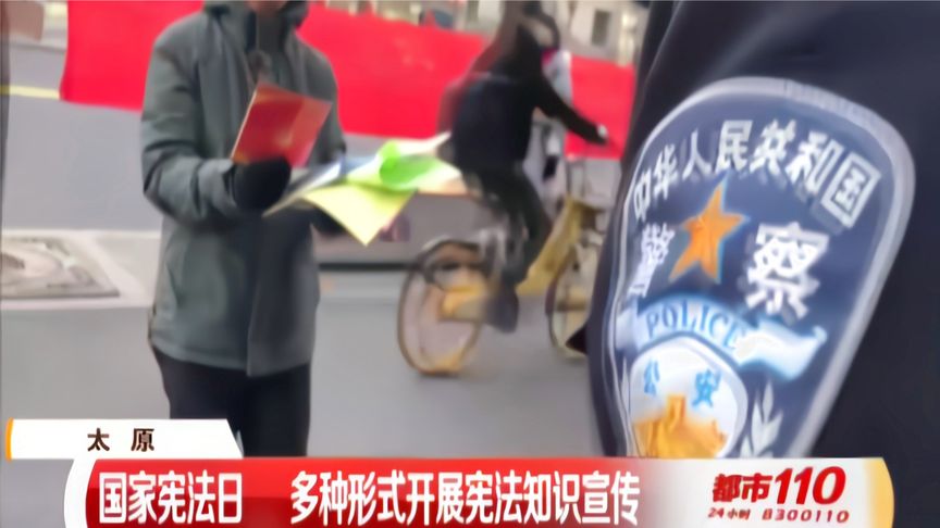 国家宪法日:多种形式开展宪法知识宣传活动|都市110