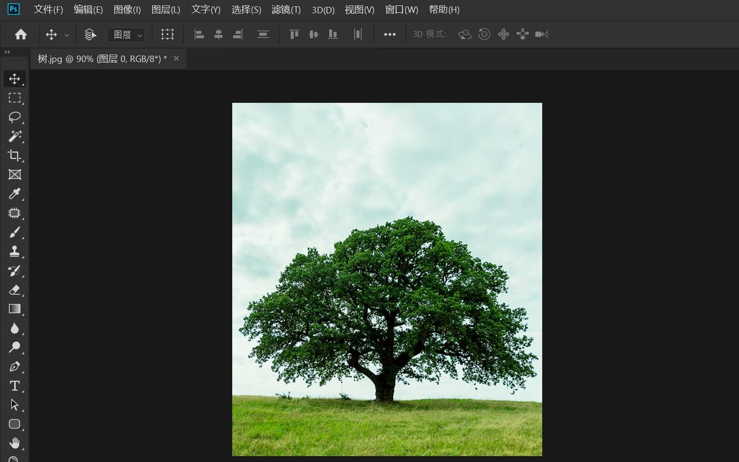 【ps教程】利用通道快速抠树林!