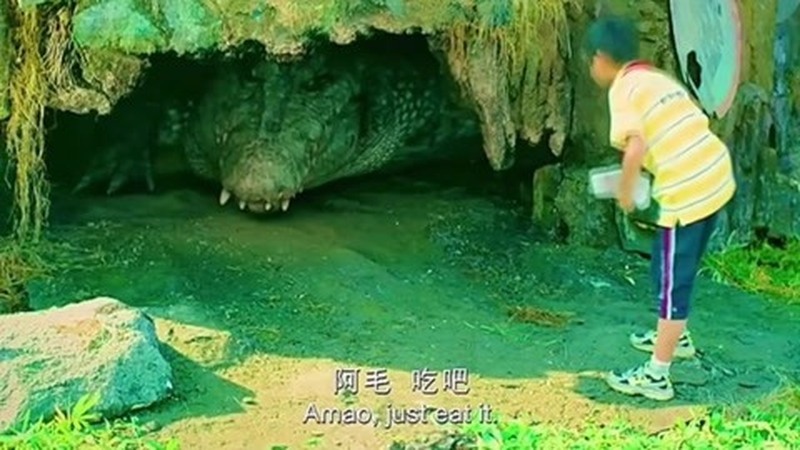 ...人害怕的是,海啸发生后找不到水里的鳄鱼到底在哪里"电影狂鳄海啸"...