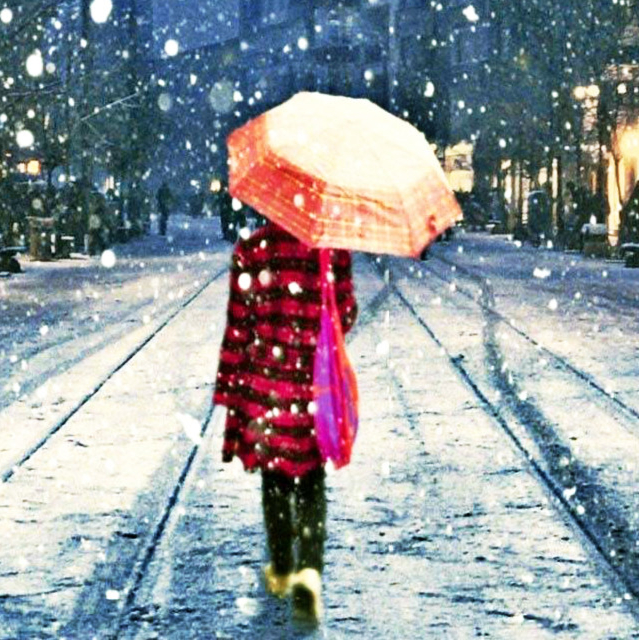 雪中伞 