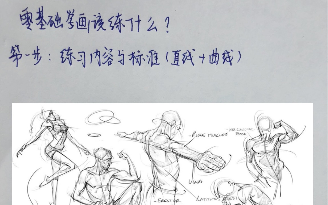 零基础学画该练什么?