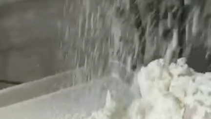 黄豆粉碎机,五谷杂粮粉碎机,全不锈钢粉碎机