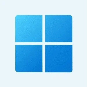 SYSTEM-WIN10-BY 