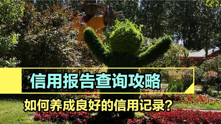 信用报告去哪查?