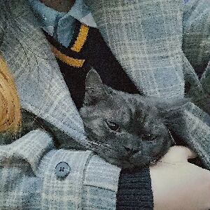 子珏今天有猫了吗 