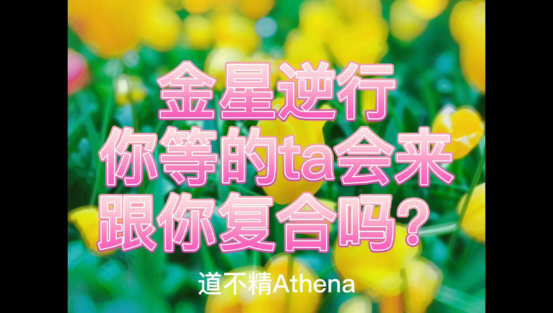【塔罗占卜】金星逆行啦~你等的ta会来跟你复合吗?断联\暧昧中\单恋