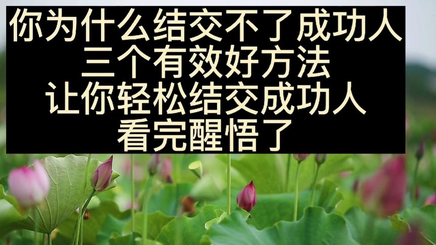 学会这有效三方法让你能比自己更成功的人交朋友励志情感感悟人生