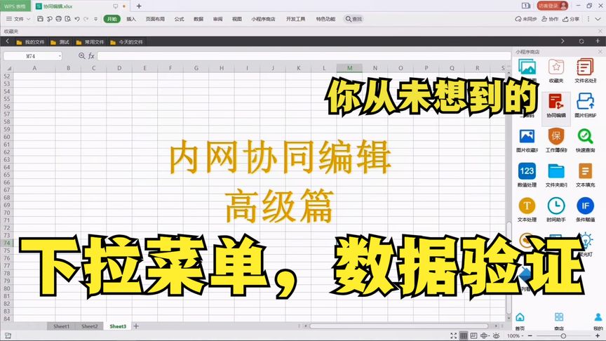 Excel和Wps协同编辑,数据验证下拉菜单统统支持,多人录入更简单