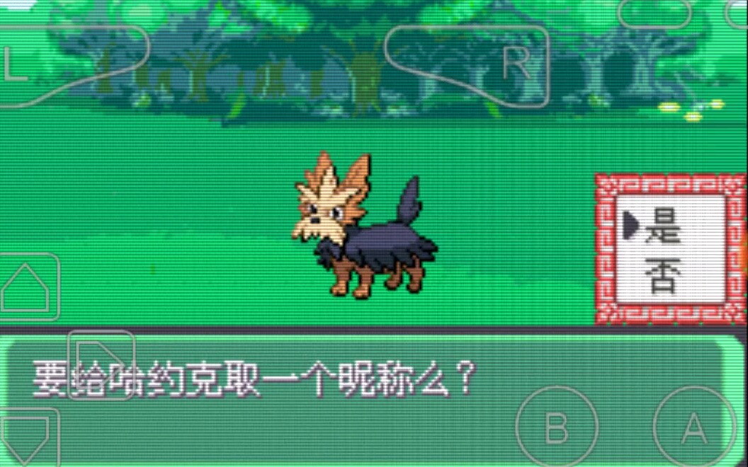 惊!究极绿宝石中文名精灵教学,再也不用羡慕别人的中文精灵了