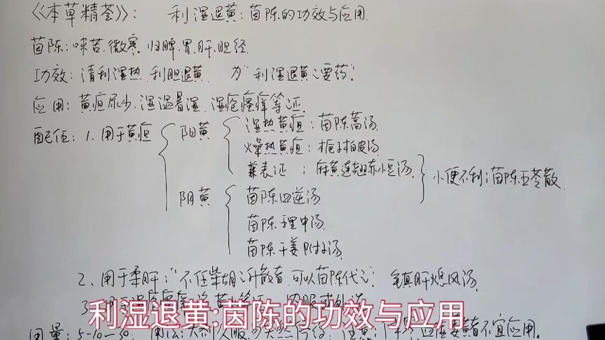 利湿退黄:茵陈的功效与应用