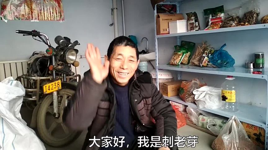 刺老芽打灵芝粉,冲水、煮粥能增强免疫力,采的都是野生大灵芝!