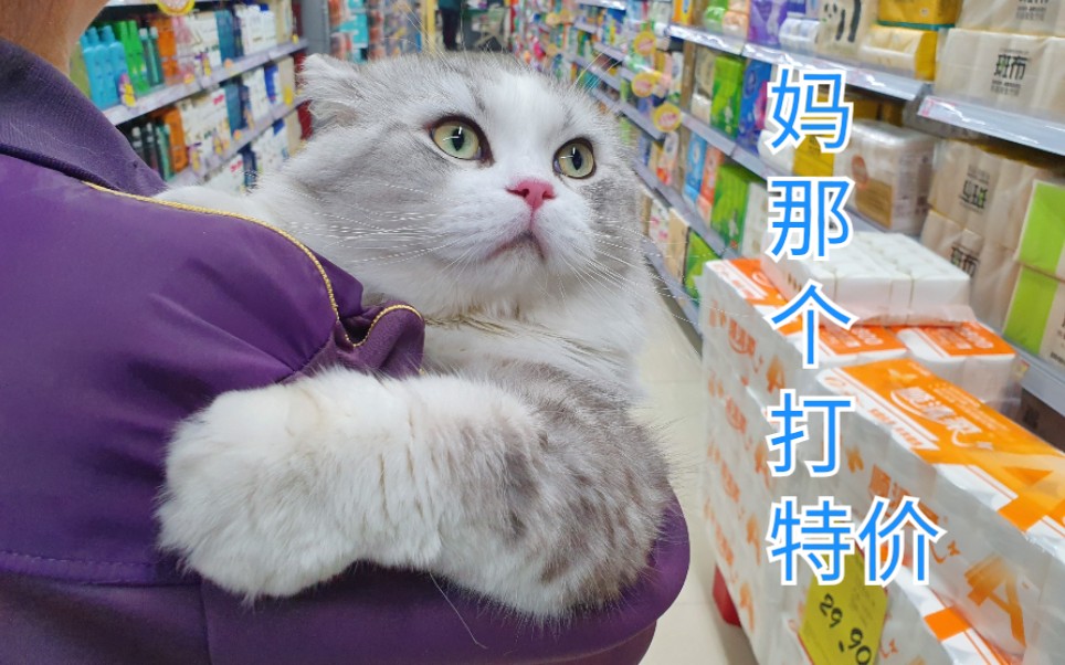 怂猫逛超市霸气全无,秒变“表情包”。小八你也有今天啊