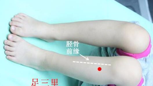 日常保健穴位——足三里