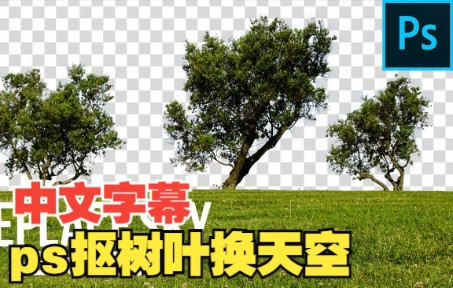 ps连眉大神:使用ps抠树叶换天空,教你精确抠图