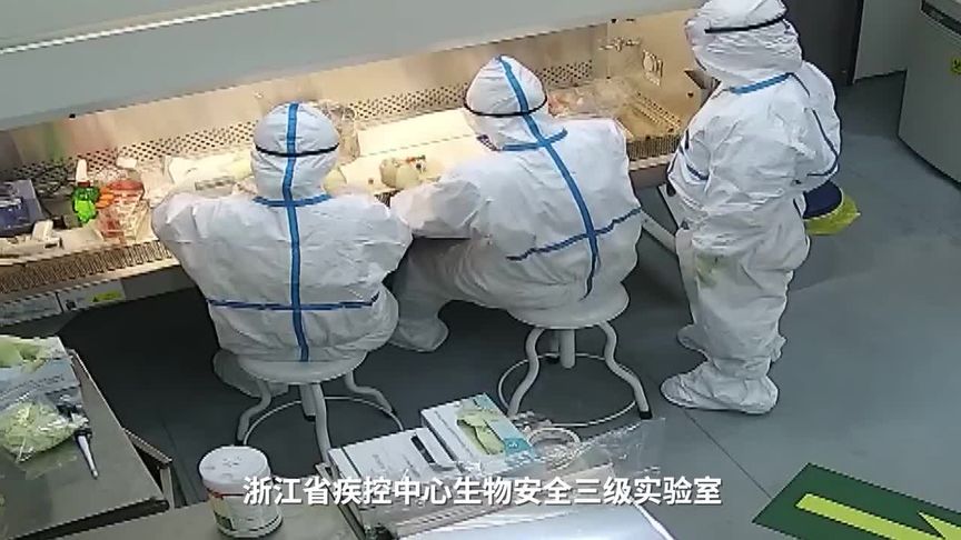 独家!浙江省成功分离出新型冠状病毒毒株录像画面公开