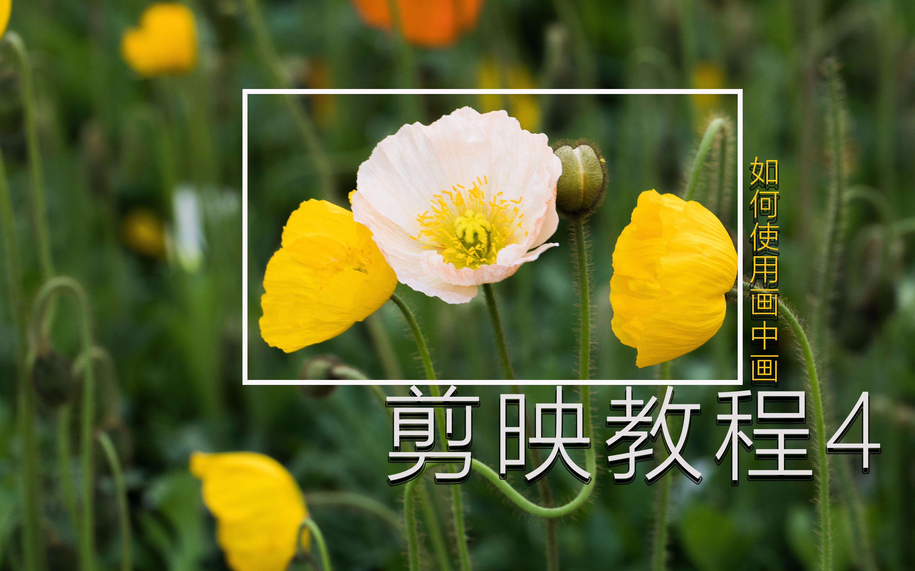 剪映教程4 如何使用视频画中画功能