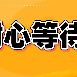 东灵adult 