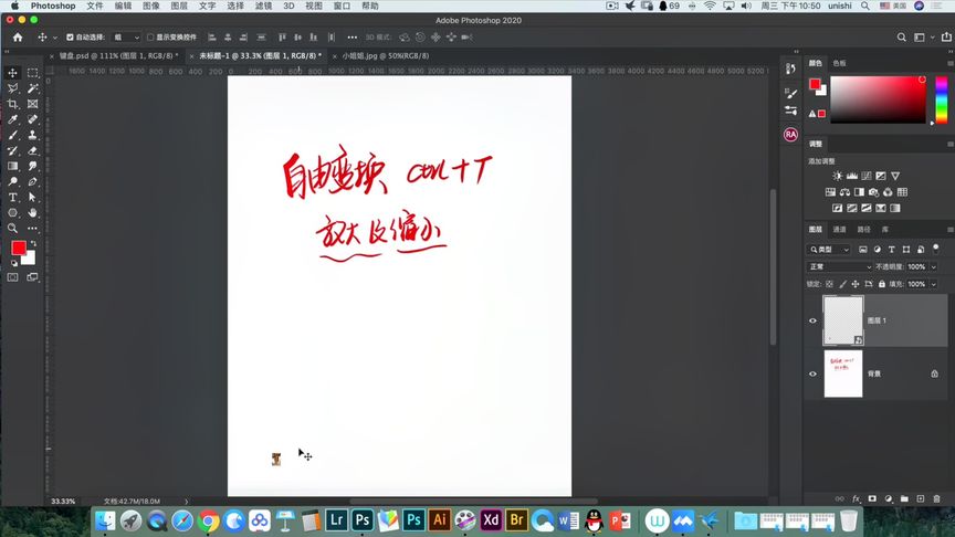 2-10 ps教程photoshop 2020自由变换-放大与缩小