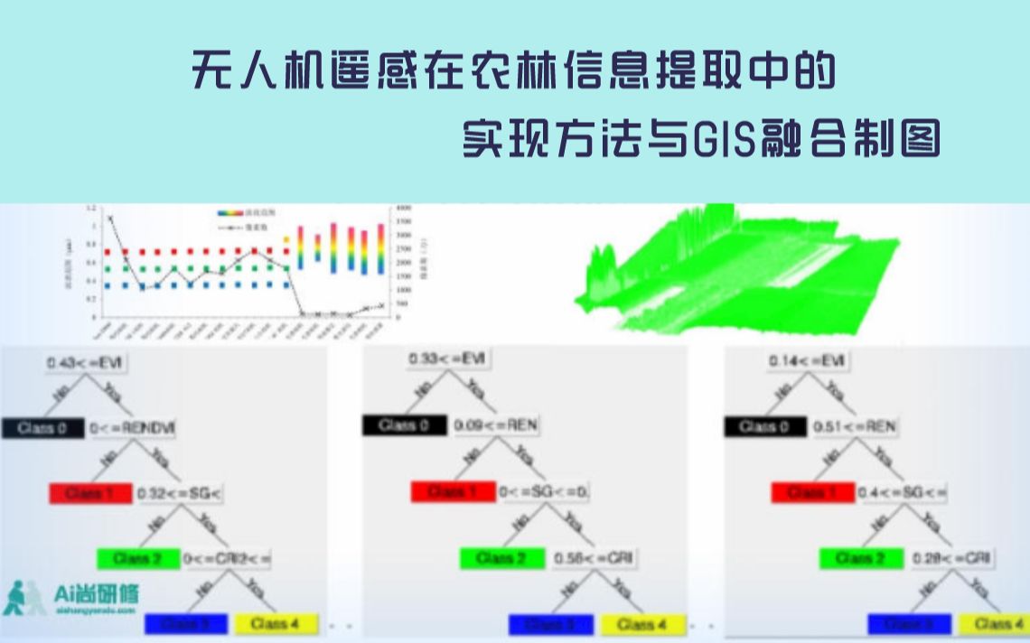 作物倒伏—数字表面模型技术