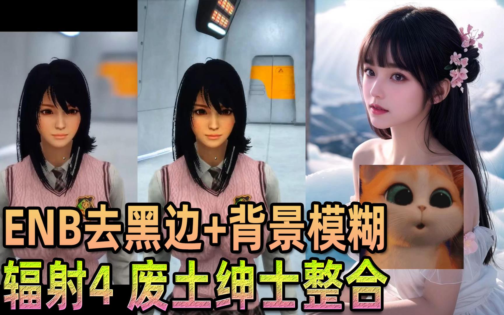 【辐射4问题教程11】去掉黑边+远景模糊 辐射4ENB设置 必看教程【...