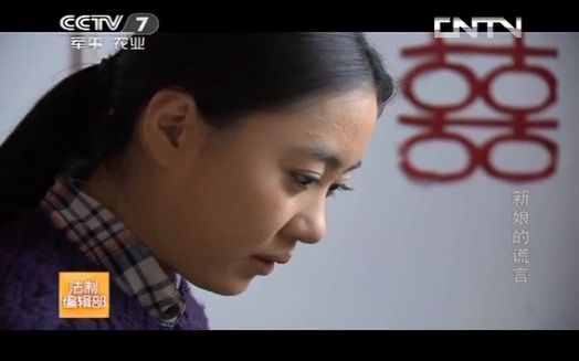 《法制编辑部》 20131110 新娘的谎言