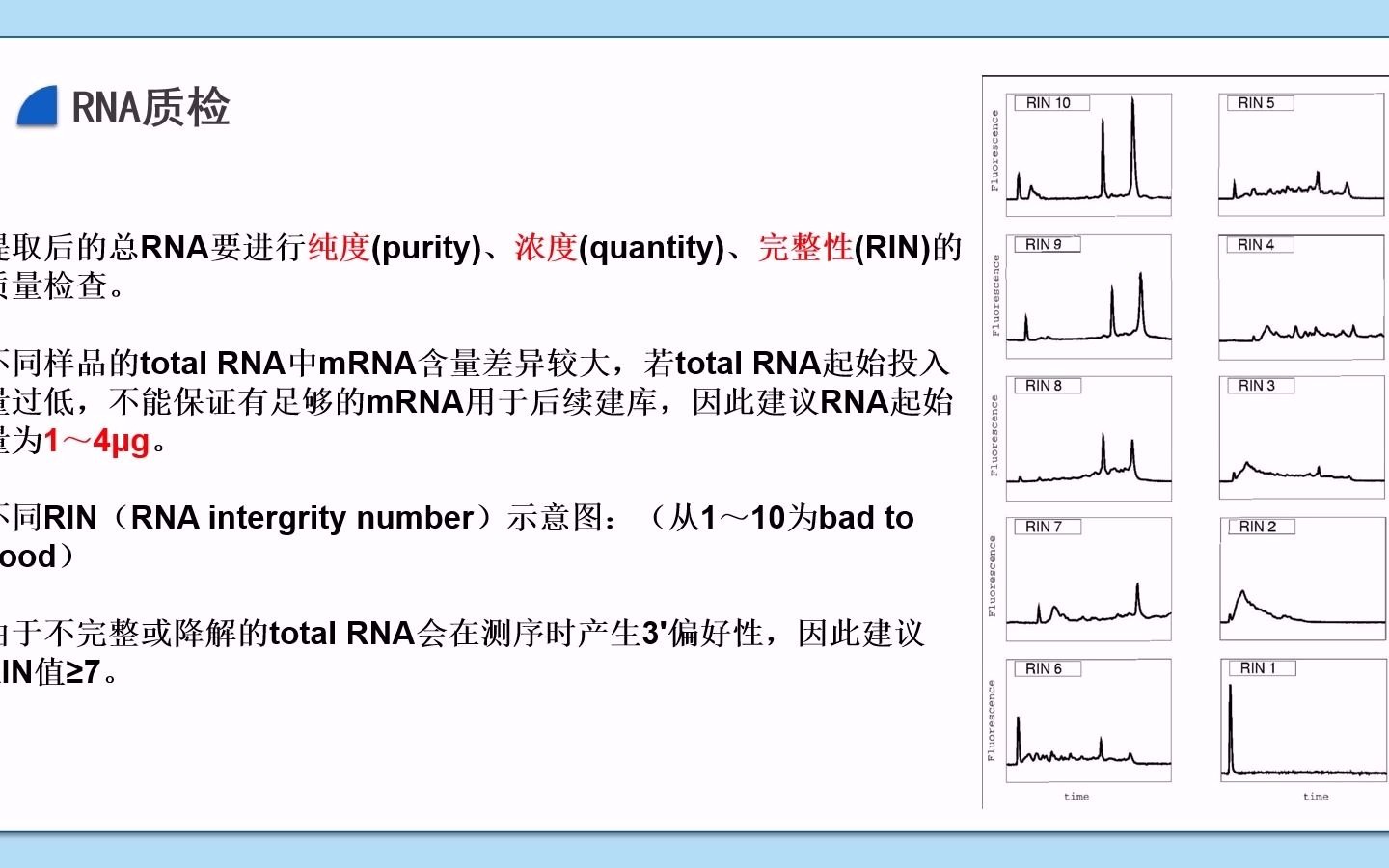 【之发爱分享】13 mRNA转录组测序实验流程