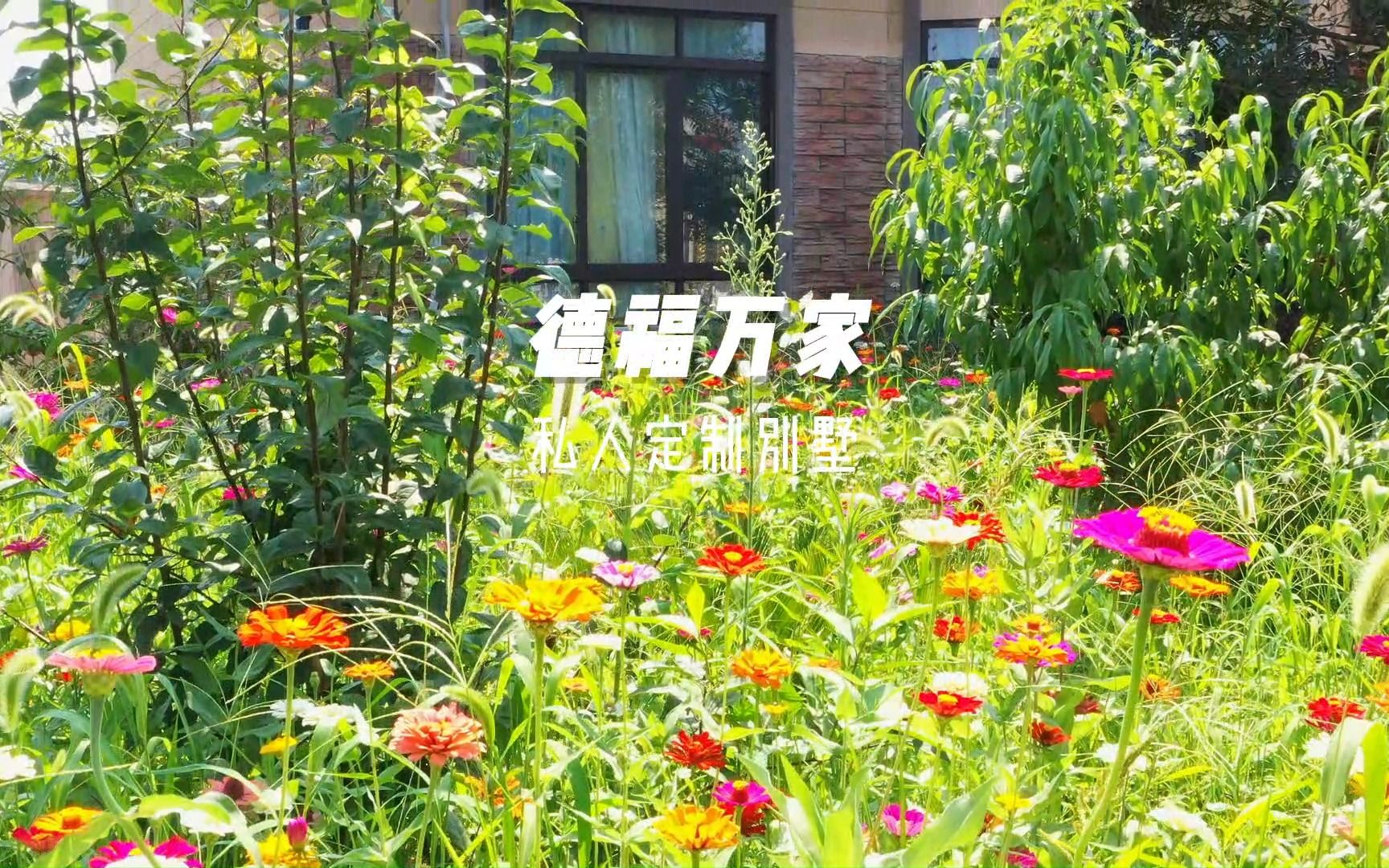 德福万家 专业轻钢别墅