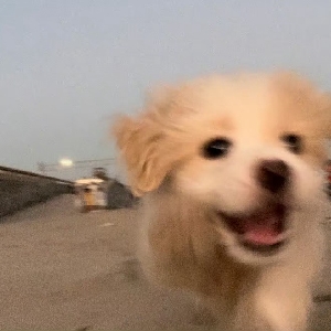 边城南阳 