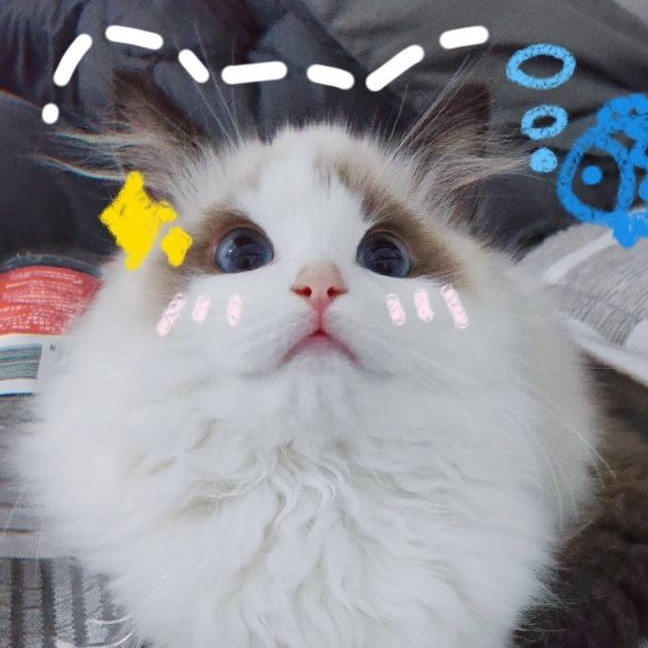 猫咩咩咩咩咩咩 