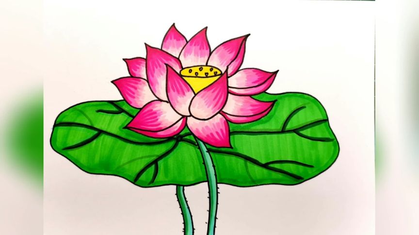 荷花画法 简笔画 儿童画 少儿美术 马克笔儿童画