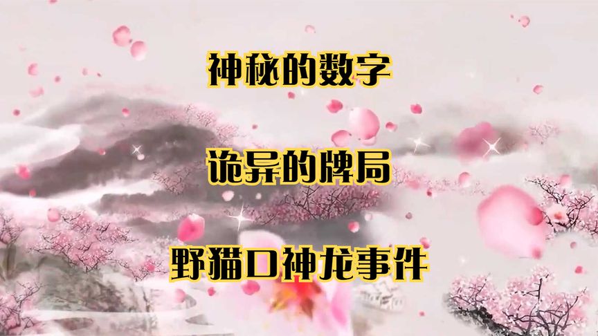 民间故事:神秘的数字_诡异的牌局_野猫口神龙事件