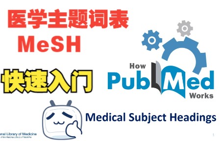 医学主题词表(MeSH)入门(精通就不必了)