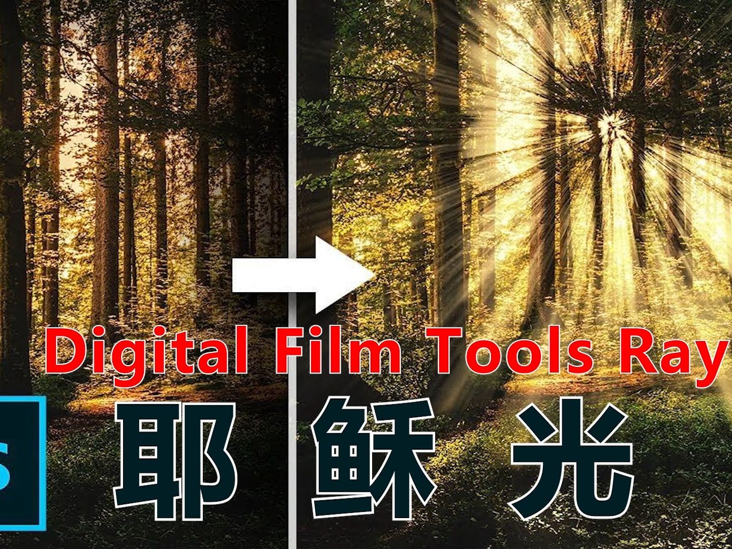 PS一键生成丁达尔效应耶稣光插件 DigitalFilmTools Rays