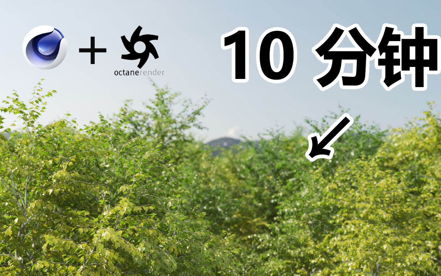 c4d十分钟制作电影级森林