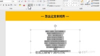 PPT入门基础教程:027、怎么让文本对齐