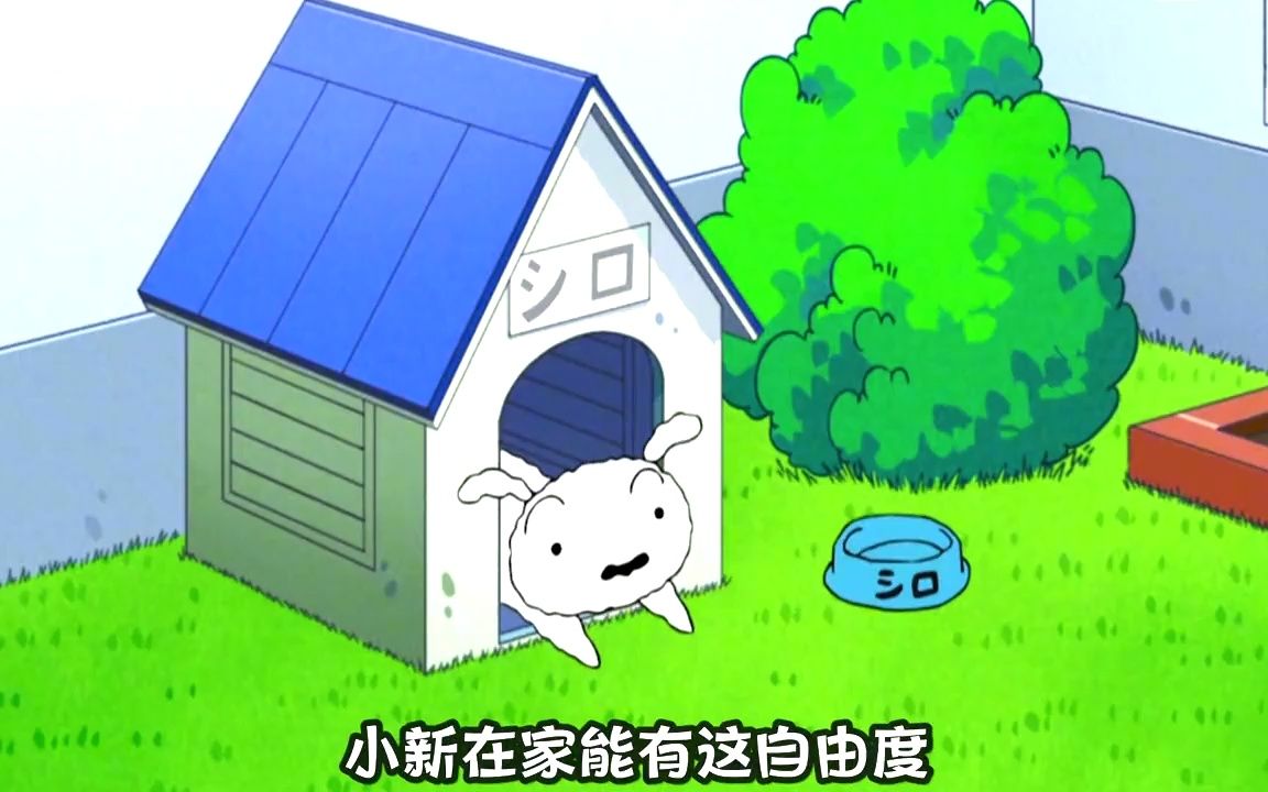 正统管家?微软电脑管家,会是最好用的电脑管家软件吗?