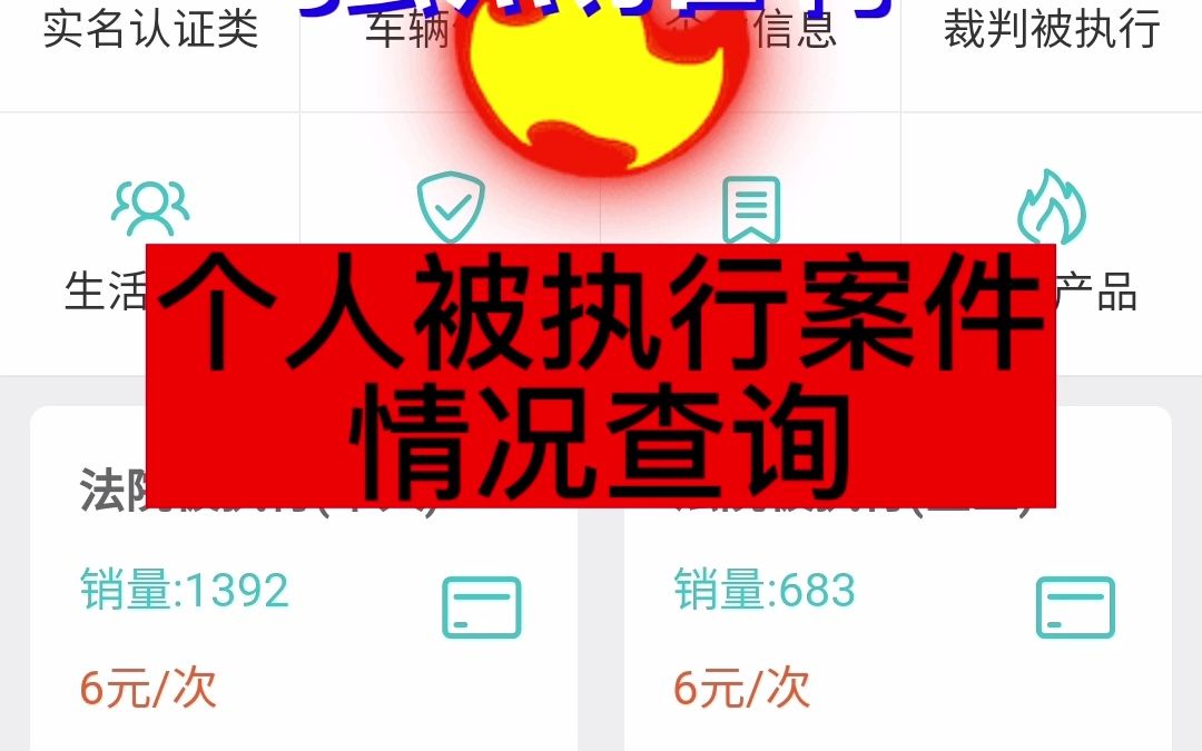 个人被执行案件情况查询
