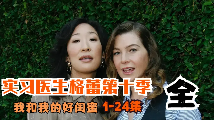 实习医生格蕾第十季1-24全:杨离开了医院,主角团再次换代